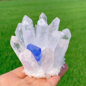 320-450g Natural Clear Quartz Crystal Cluster,crystal Vug,collection ...