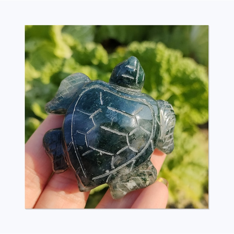 Crystal Turtle - Etsy