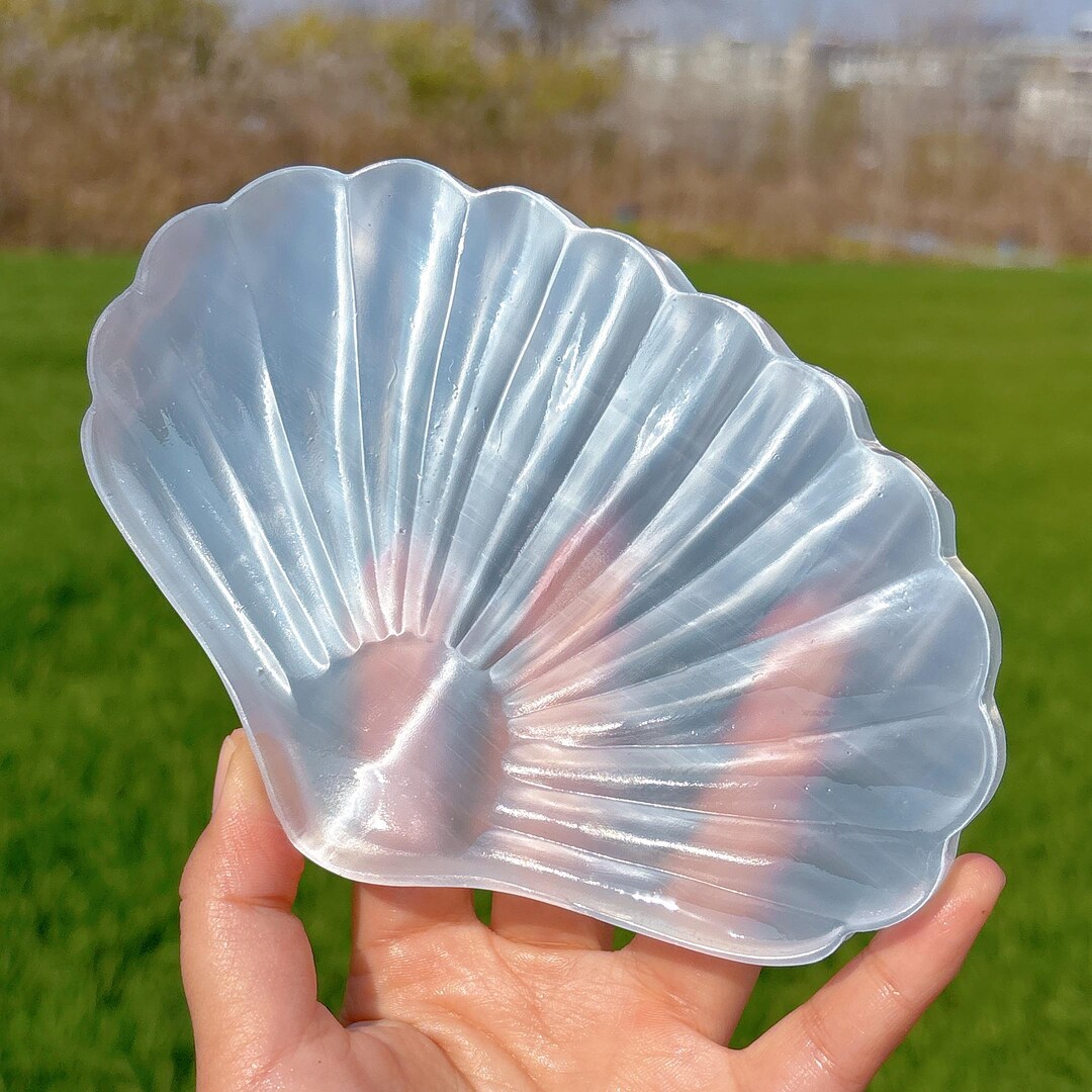 6 Natural Selenite Shell,quartz Crystal Shell,home Decoration,crystal ...