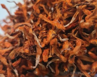 Wild Dagga Tea - Etsy