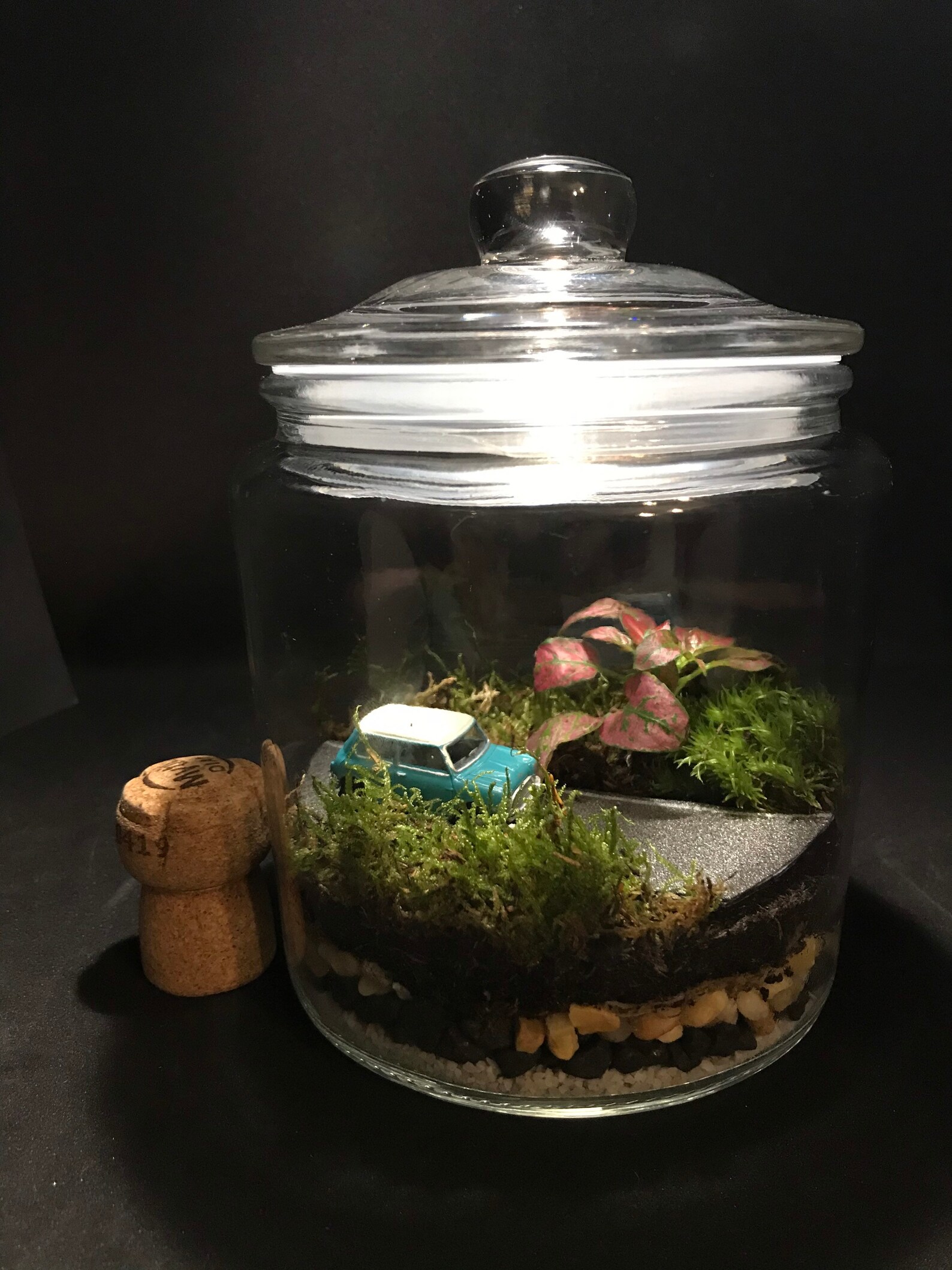 Mini Live Terrarium With Vintage Car - Etsy UK