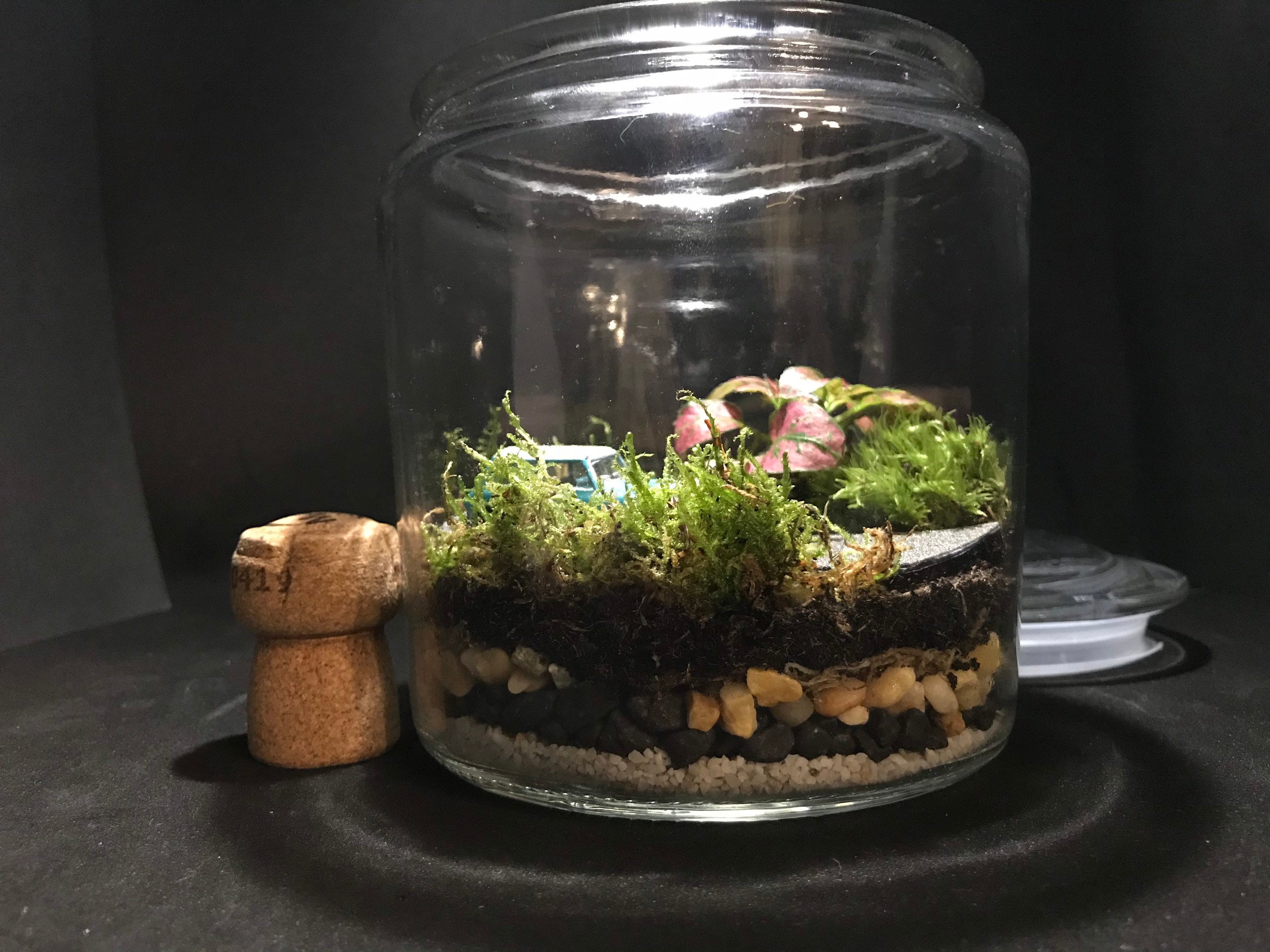 Mini Live Terrarium With Vintage Car - Etsy UK