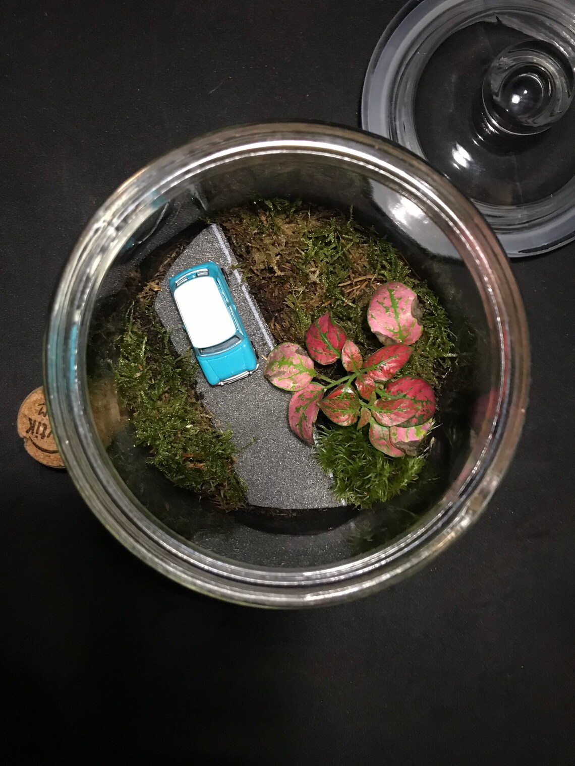 Mini Live Terrarium With Vintage Car - Etsy UK