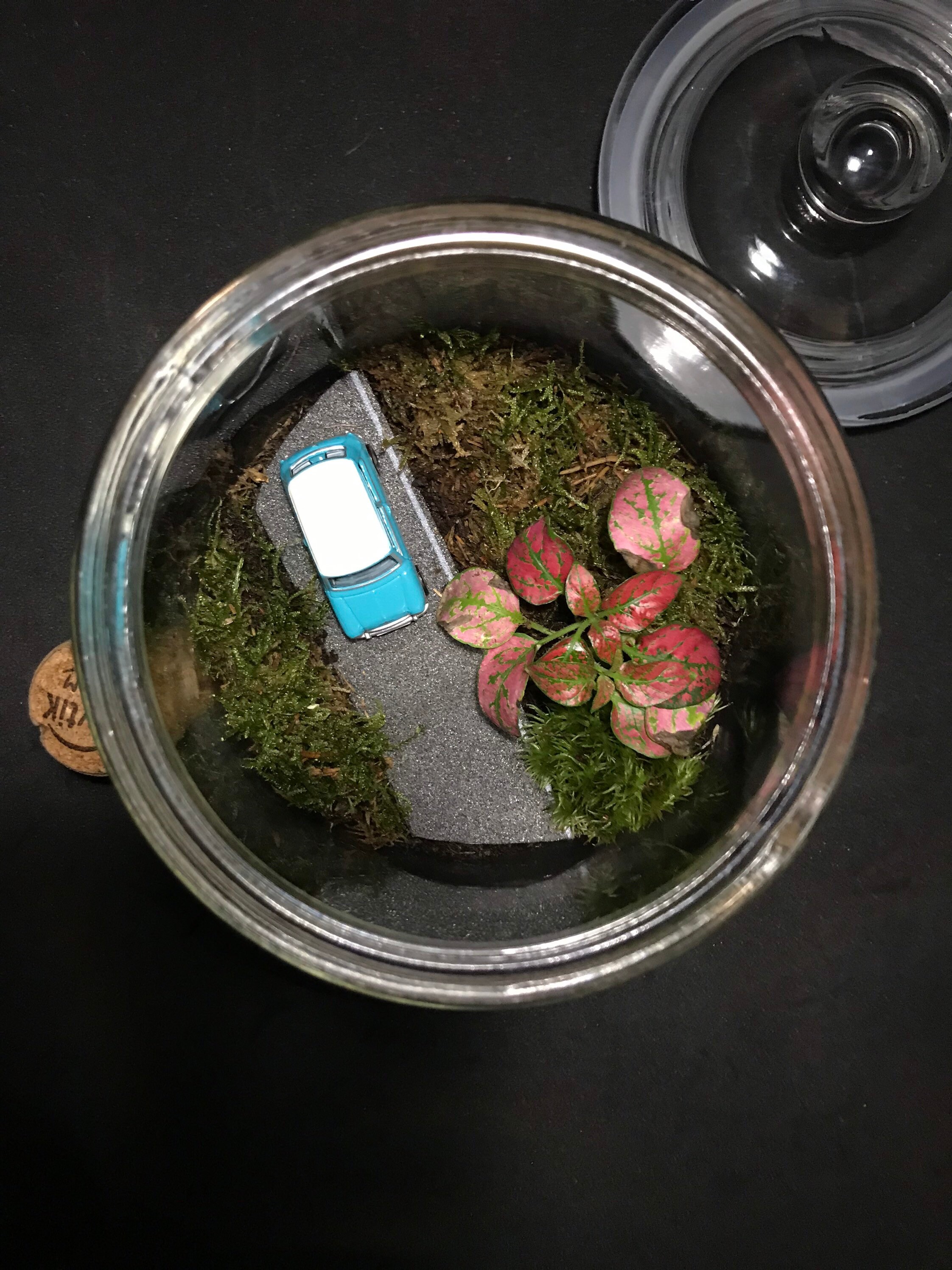 Mini Live Terrarium With Vintage Car - Etsy UK