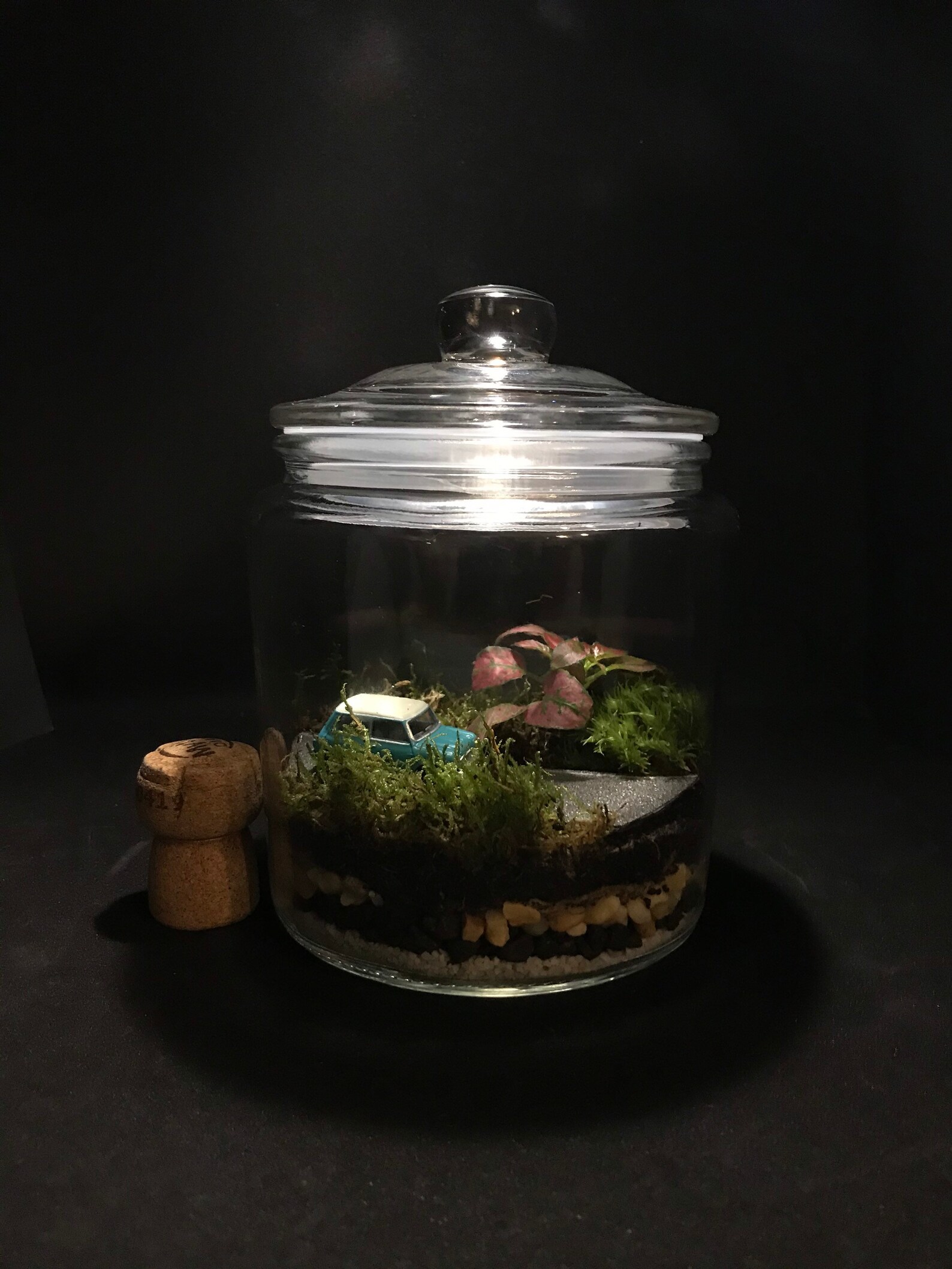 Mini Live Terrarium With Vintage Car - Etsy UK