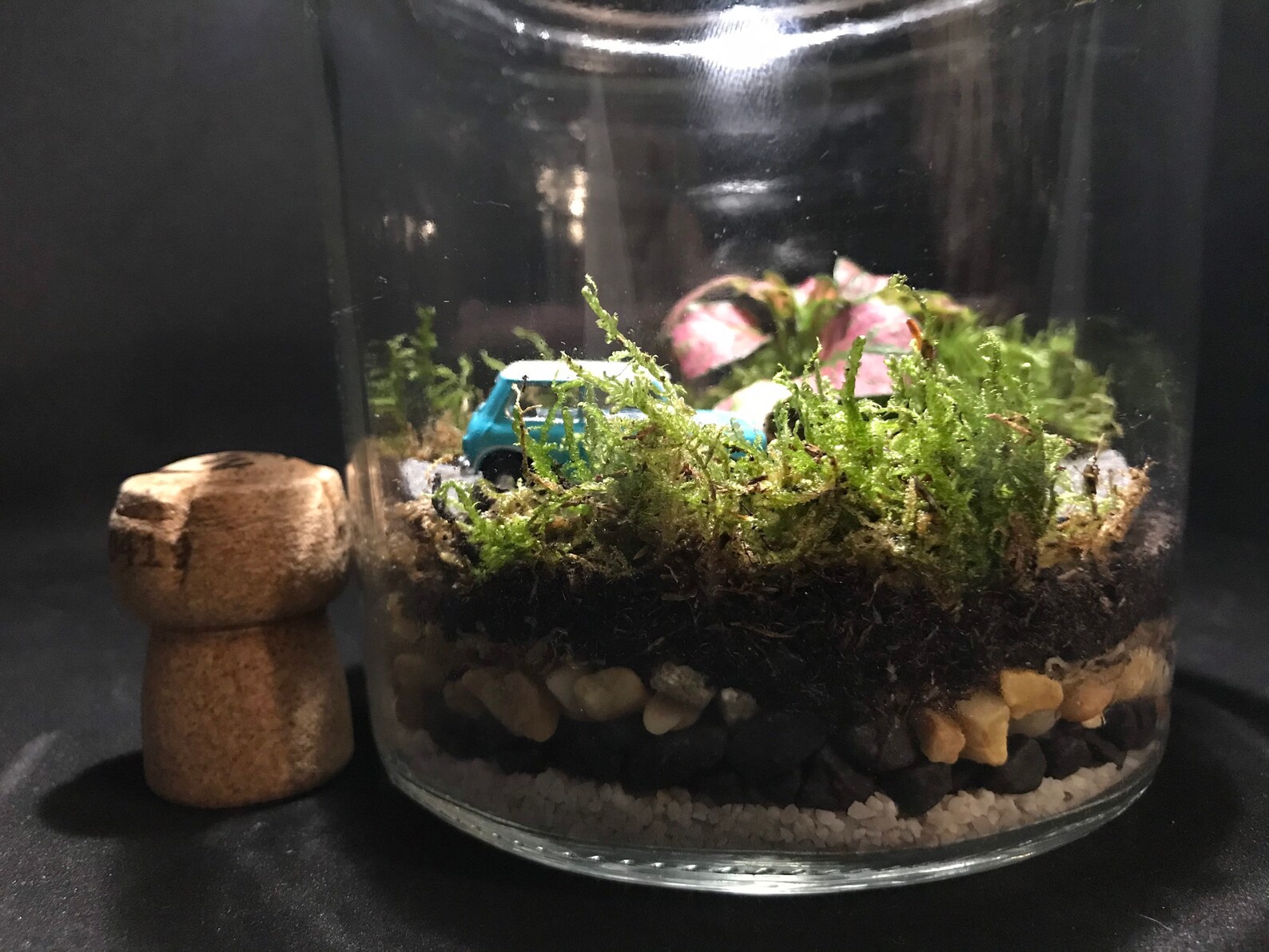 Mini Live Terrarium With Vintage Car - Etsy UK