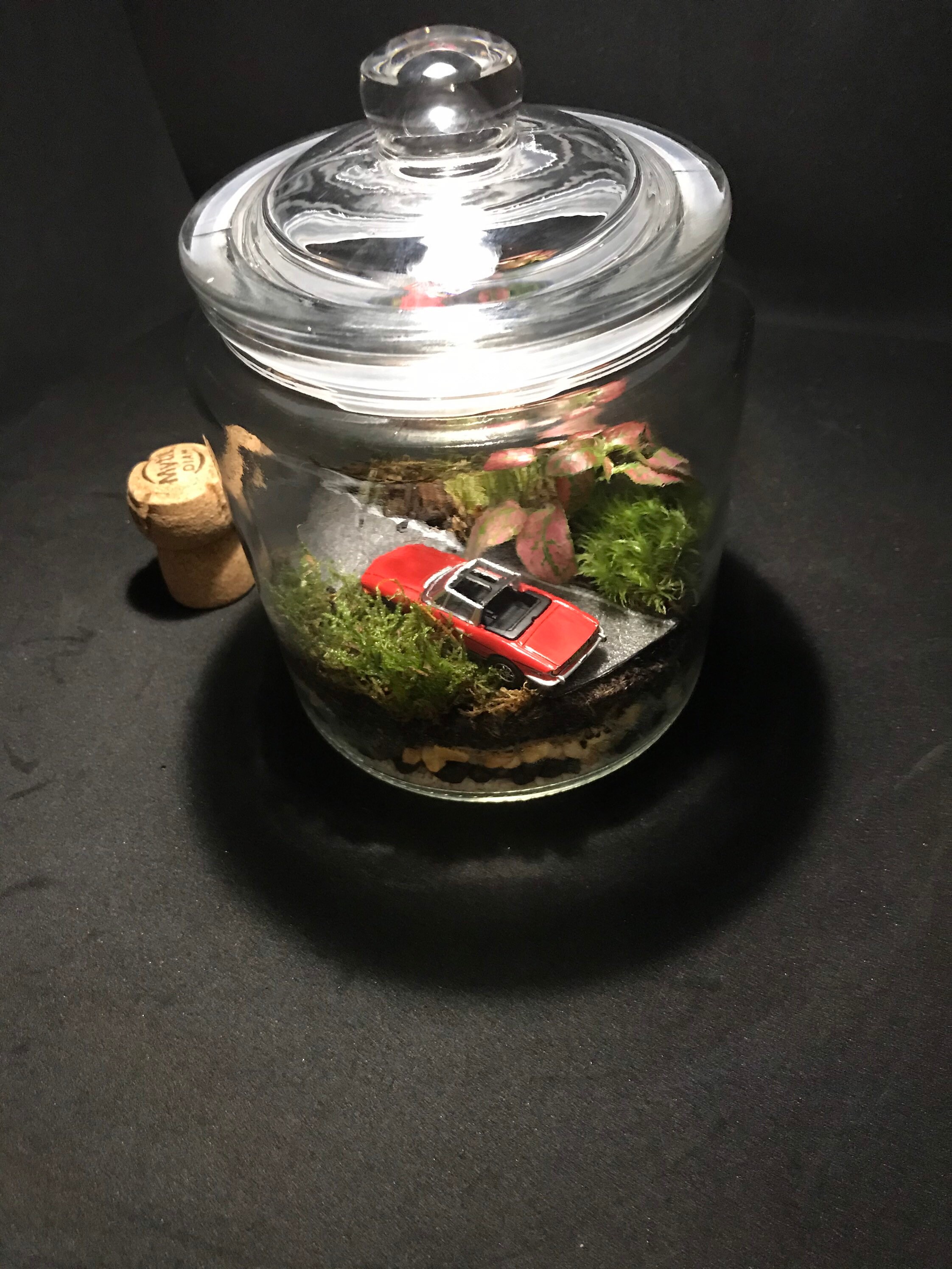 Mini Live Terrarium With Vintage Car - Etsy UK