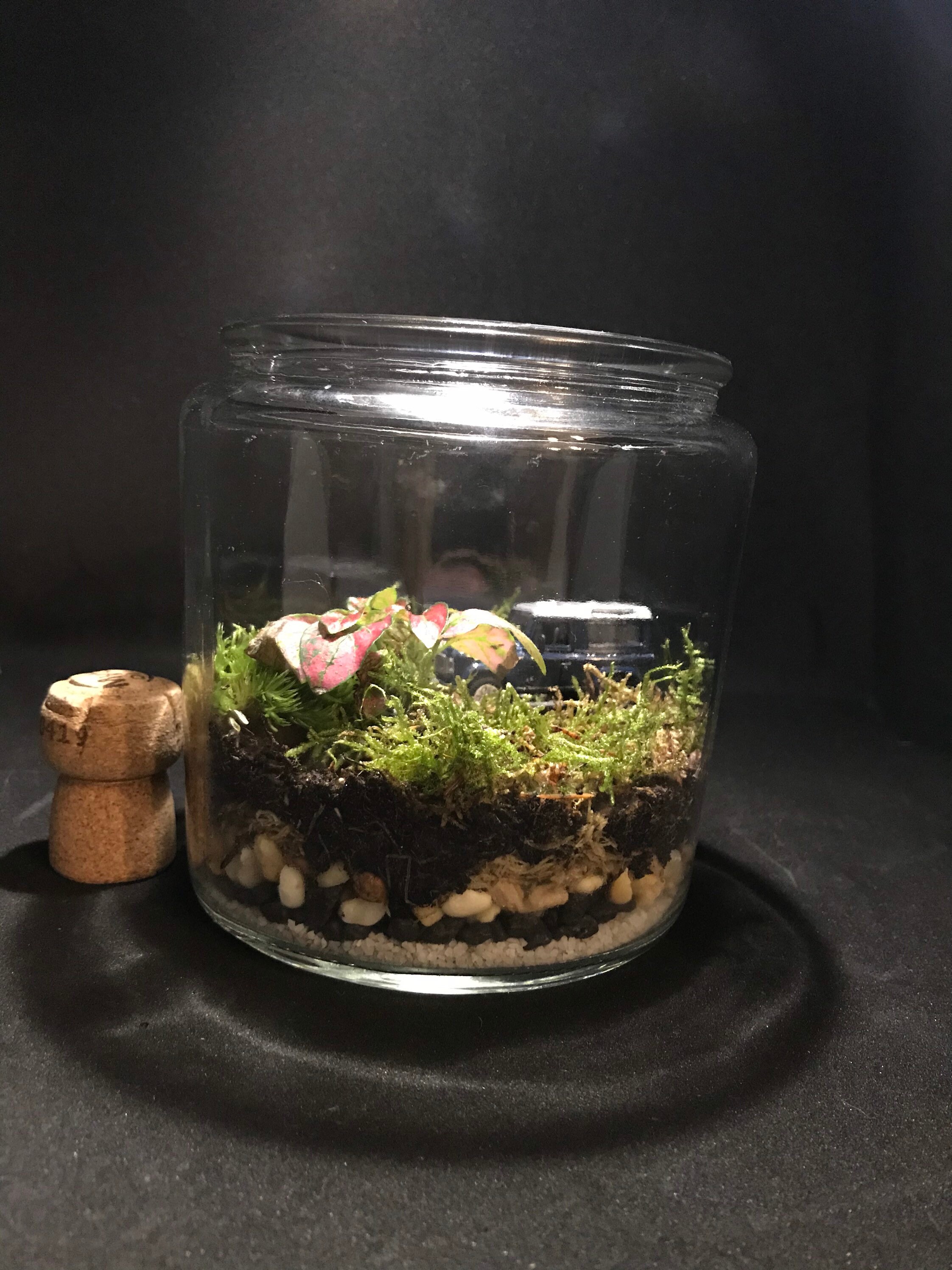 Mini Live Terrarium With Vintage Car - Etsy UK