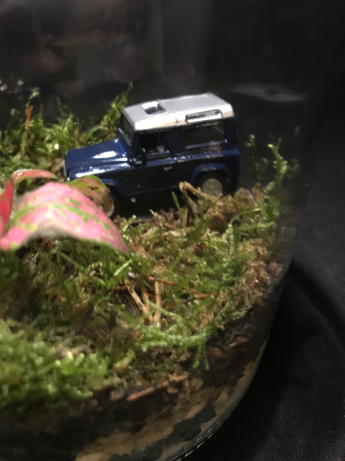 Mini Live Terrarium With Vintage Car - Etsy UK