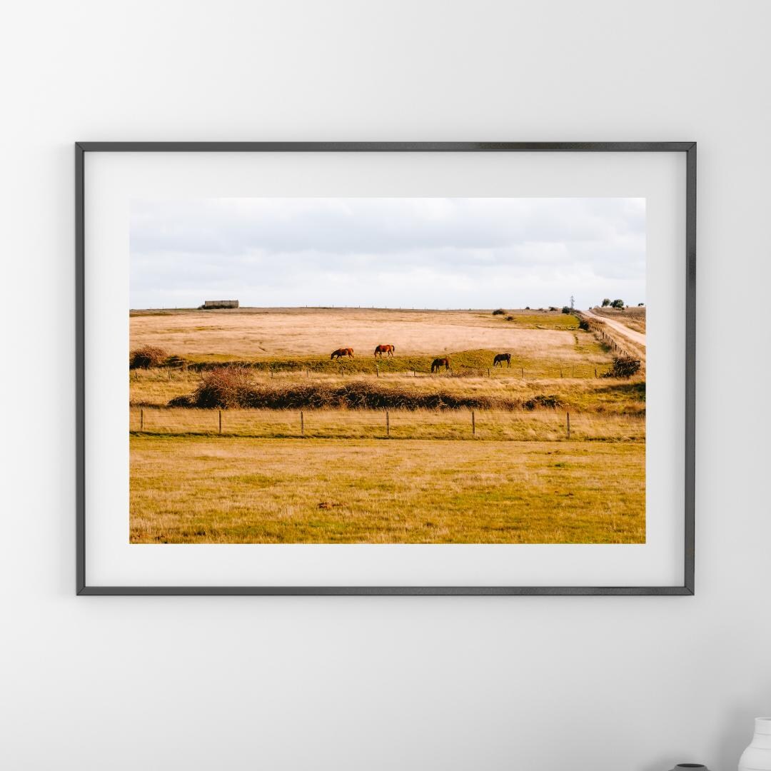 Printable Rural Landscape Art, Nature Photography Printable Wall Art ...