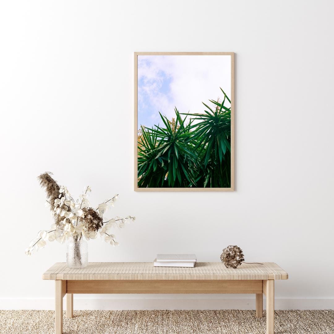 Printable Yucca Plant Photography, Coastal Plant Prints, Printable ...