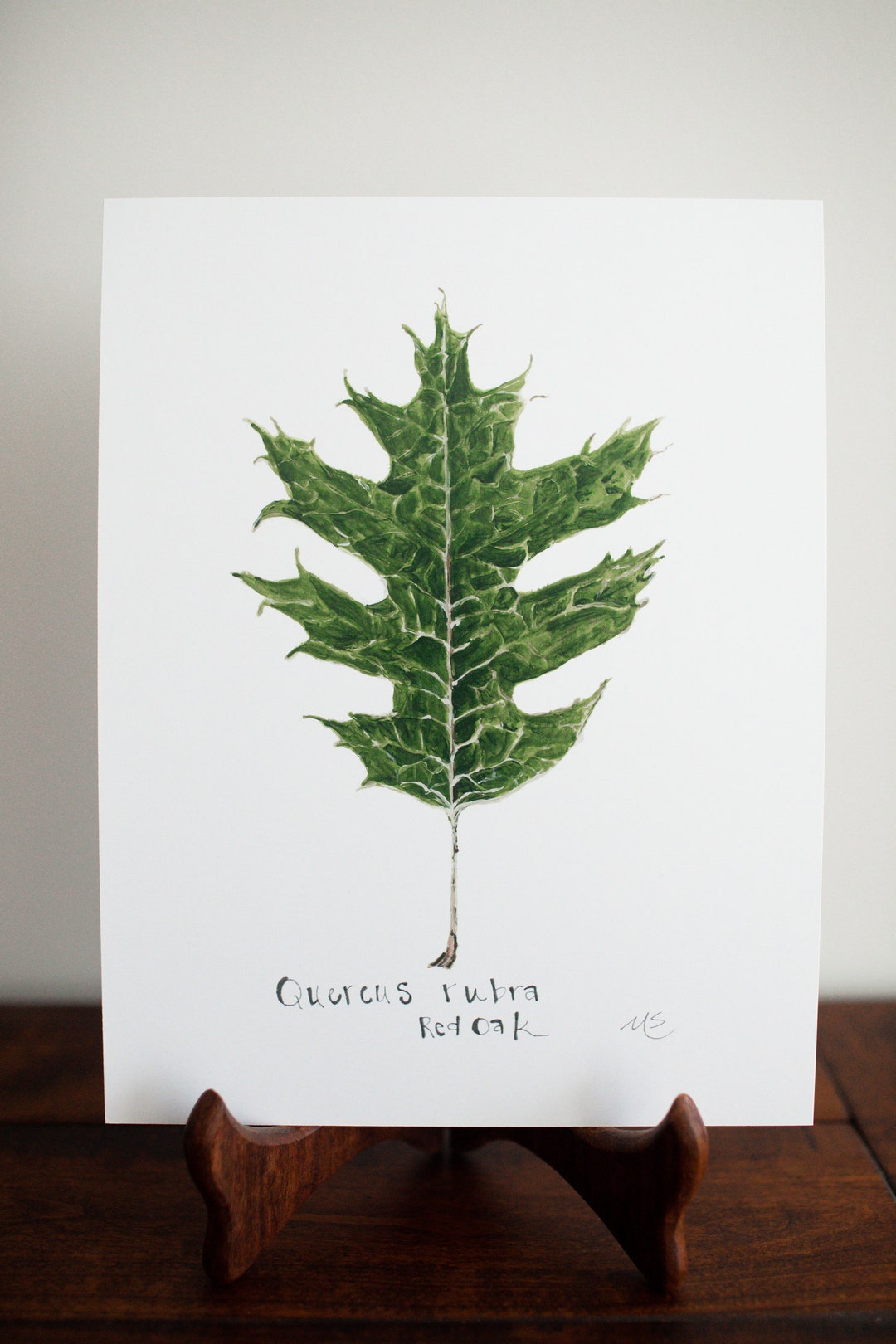 Red Oak Print - Etsy