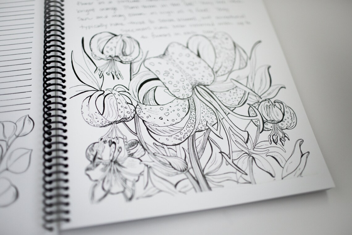 Molly Suzanne Co | Native Virginia Flowers Coloring Book | Adult ...