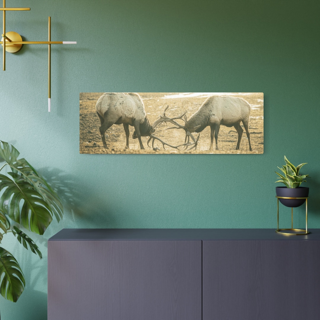 Bull Elk Fight Metal Art Sign - Etsy