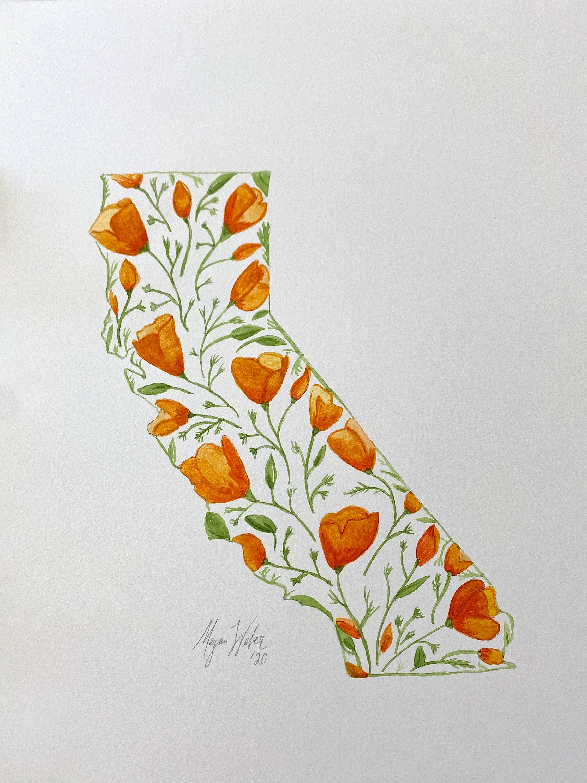 California Poppies Watercolor, California Poppy Art, Poppy Watercolor ...