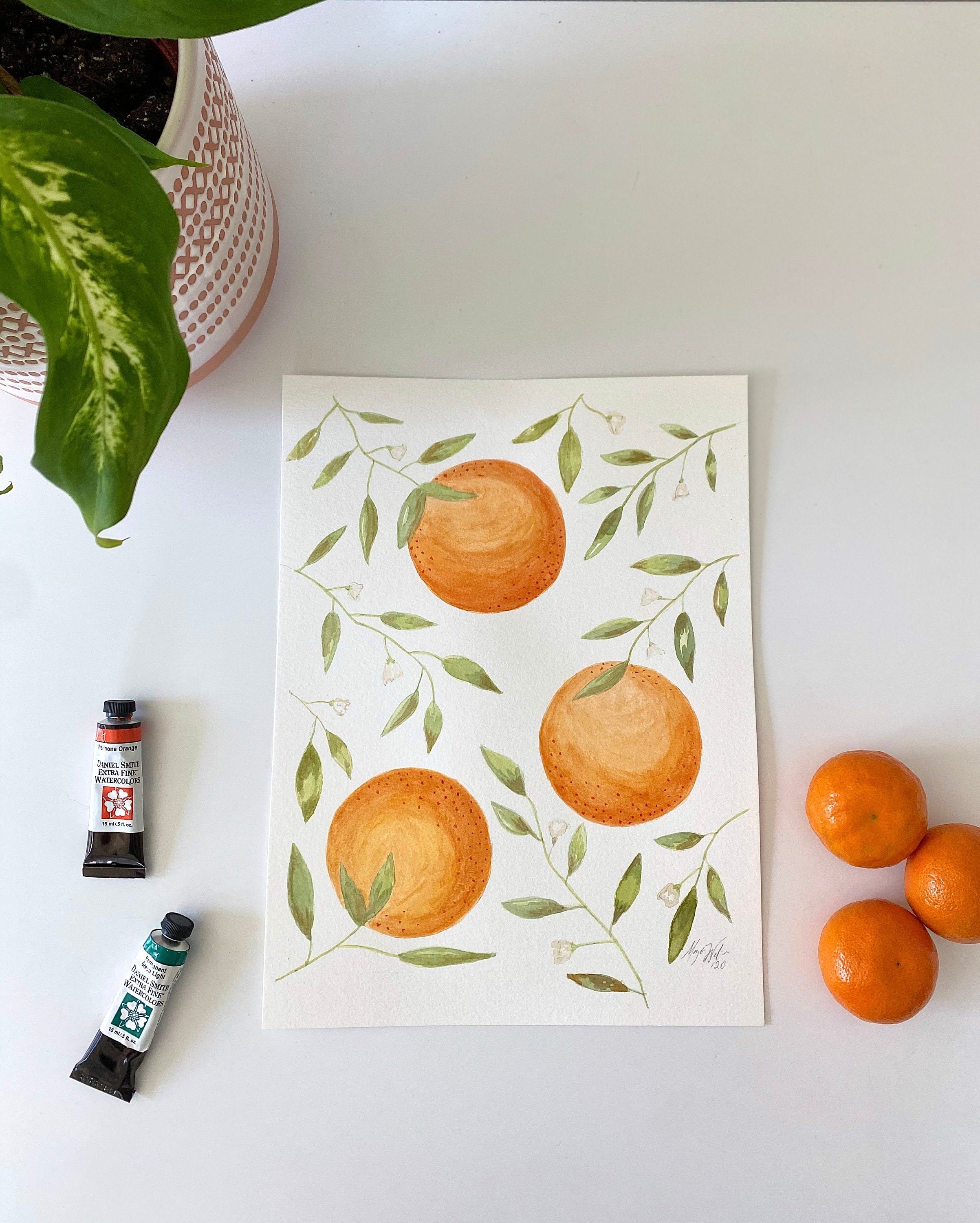 Watercolor Oranges, Watercolor Orange Tree, Oranges Painting, Orange ...