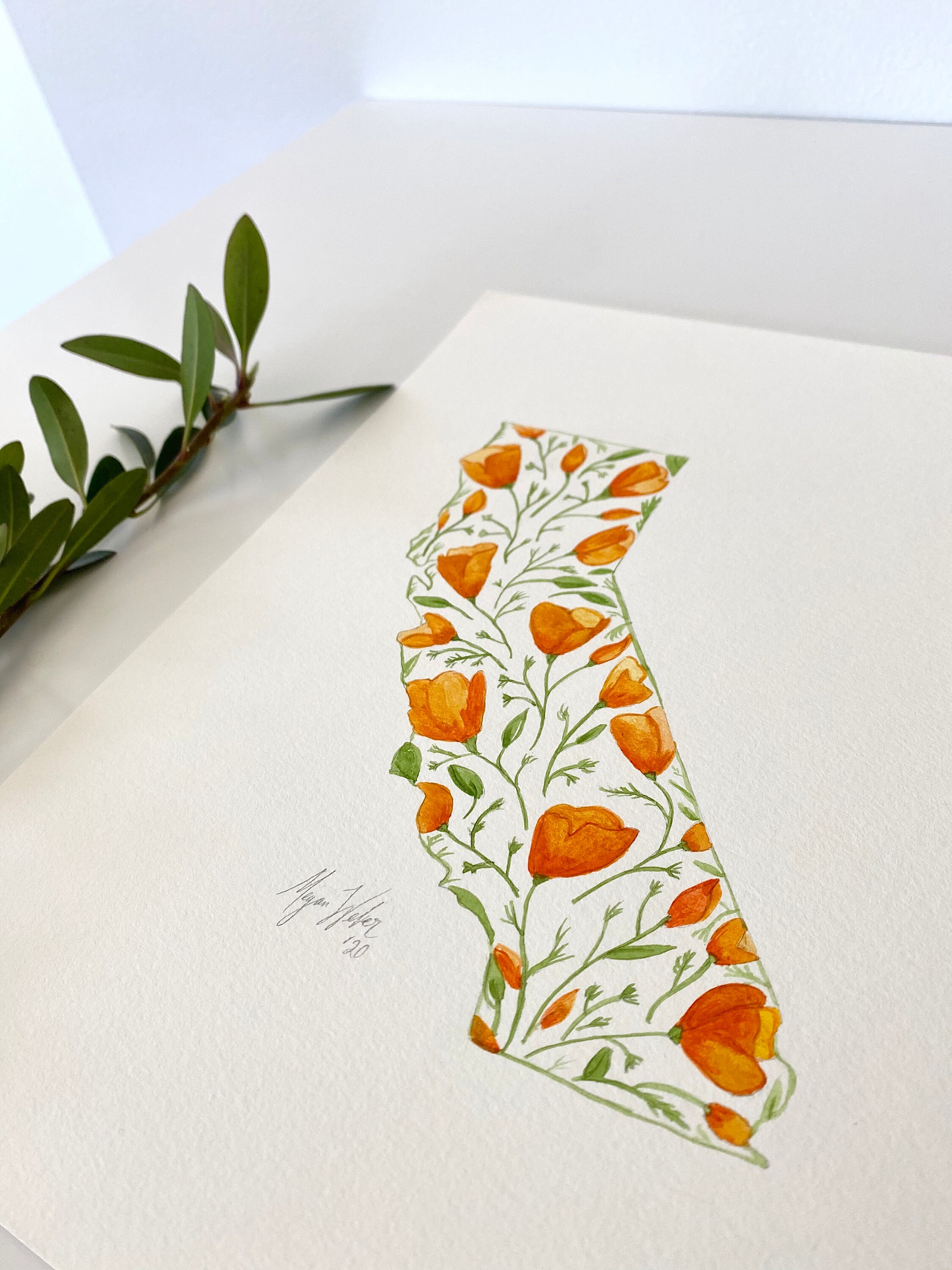 California Poppies Watercolor, California Poppy Art, Poppy Watercolor ...