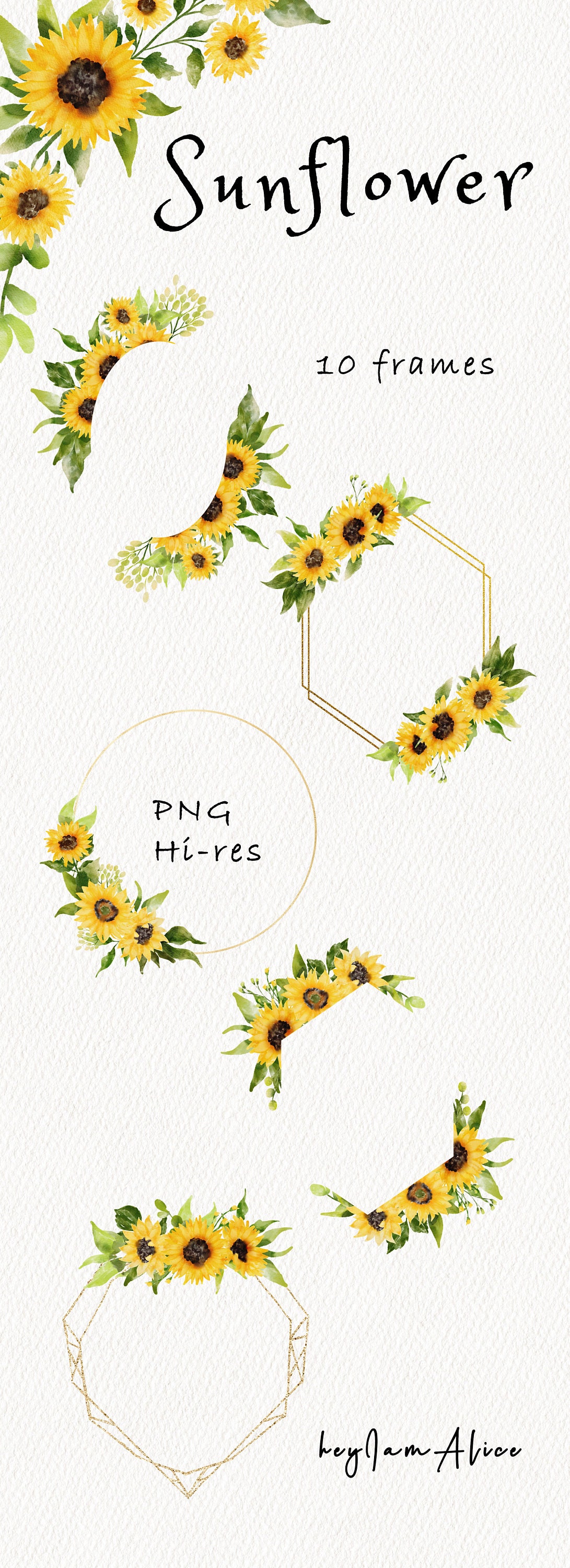 COMPLETE SET Sunflower Watercolor Clipart FREE Commercial - Etsy