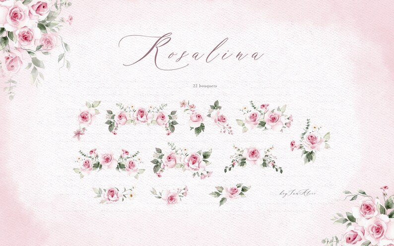 Pink ROSE Flower Watercolor Clipart, Soft Pink Floral PNG, Watercolor ...
