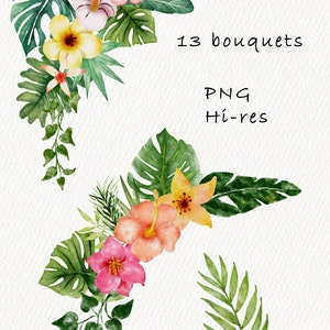 COMPLETE SET Tropical Jungle Flower Watercolor Clipart, Free Commercial ...