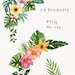 COMPLETE SET Tropical Jungle Flower Watercolor Clipart, Free Commercial ...