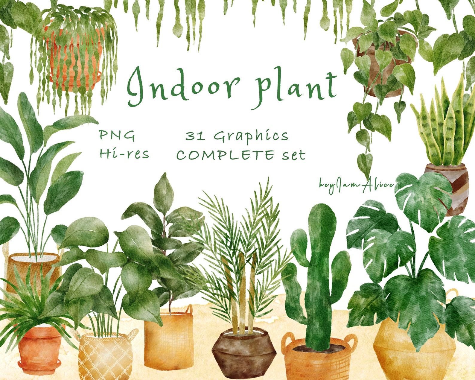 House Plant Clipart, FREE COMMERCIAL Use, Indoor Plant Clipart, Plant ...