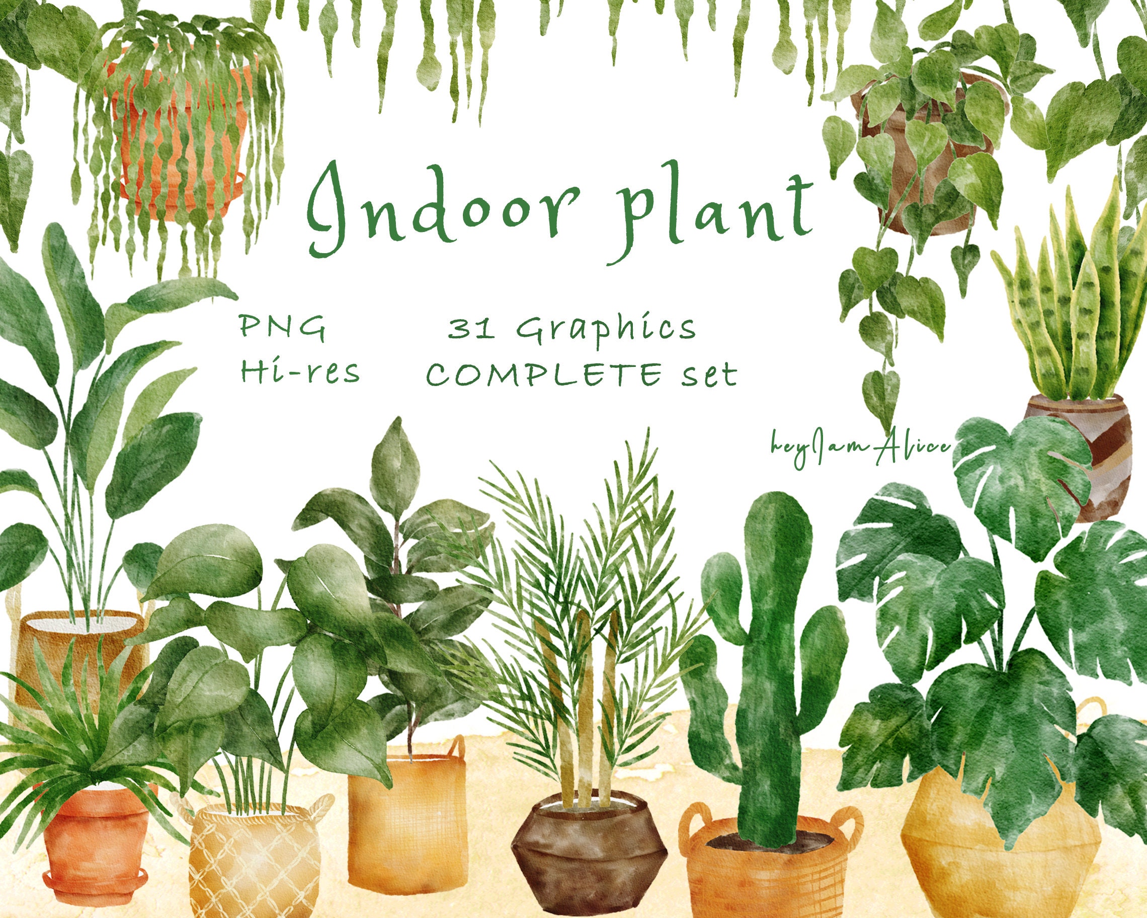 House Plant Clipart FREE COMMERCIAL Use Indoor Plant - Etsy