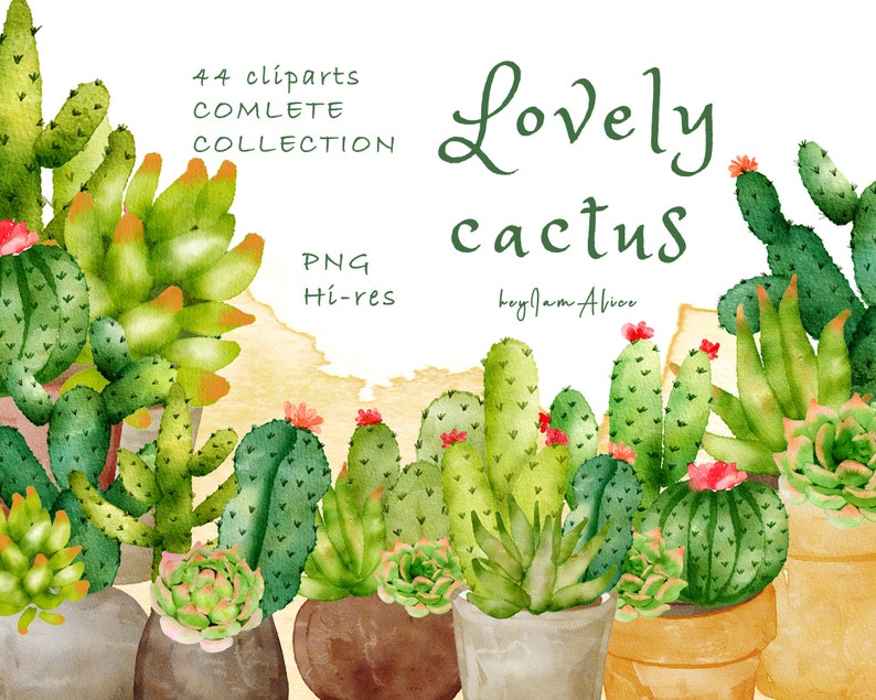 Watercolor Cactus Clipart FREE COMMERCIAL Use Tropical - Etsy