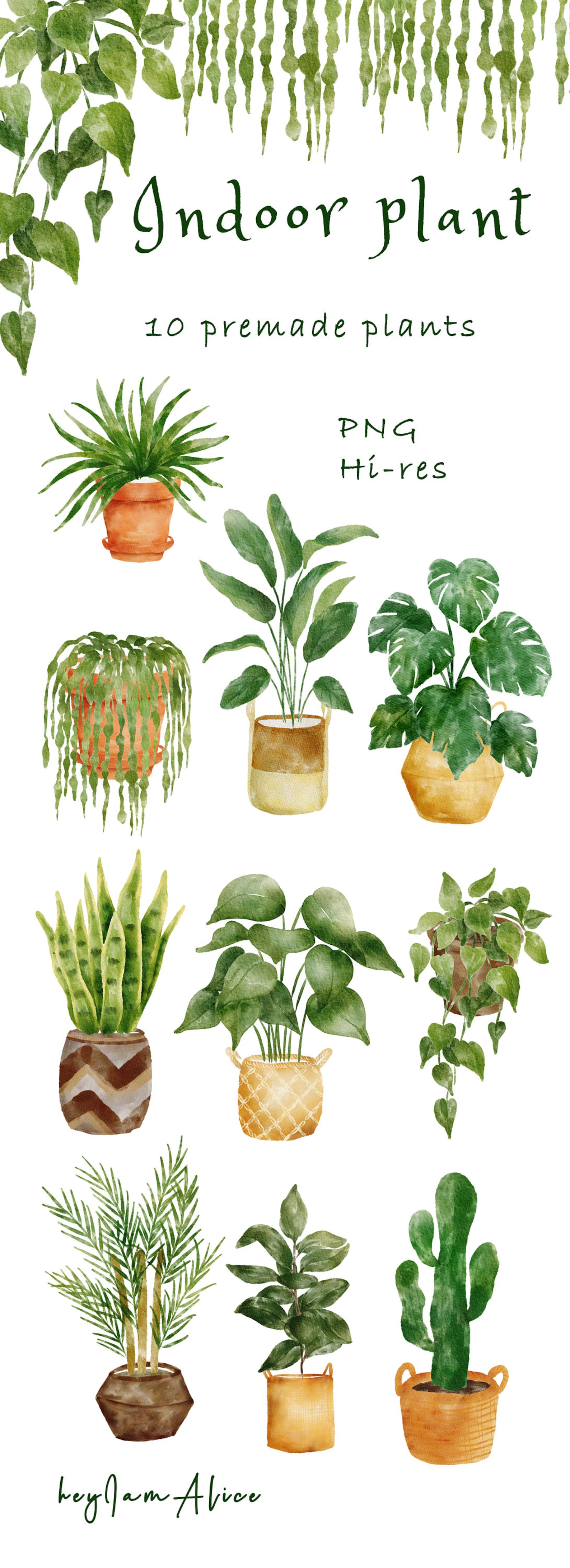 House Plant Clipart FREE COMMERCIAL Use Indoor Plant - Etsy