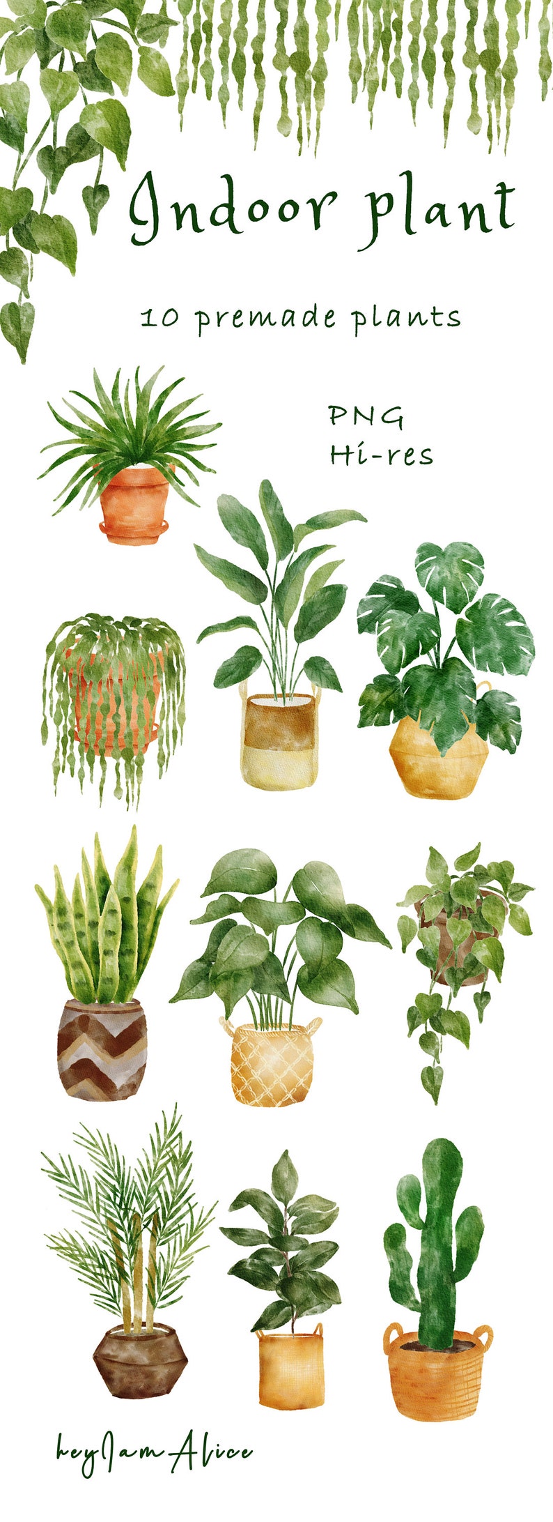 House Plant Clipart, FREE COMMERCIAL Use, Indoor Plant Clipart, Plant ...