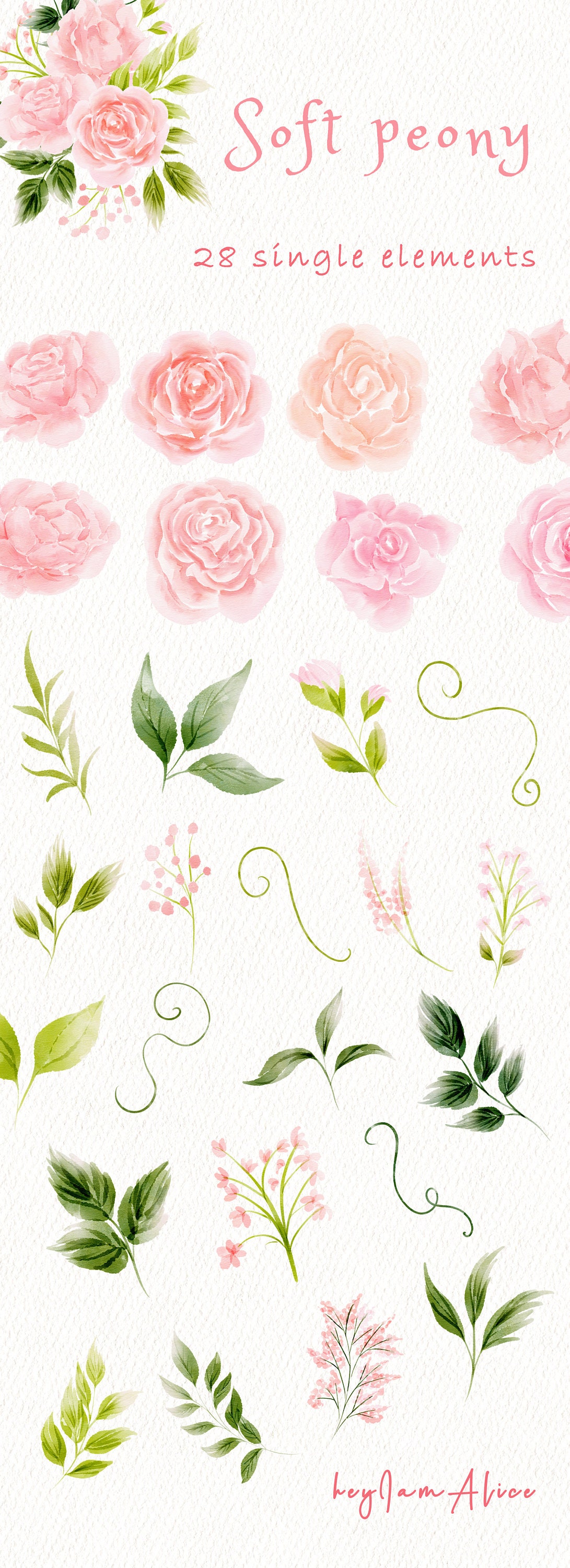 Pink Peony Flower Watercolor Clipart, Soft Pink Floral PNG, Free ...