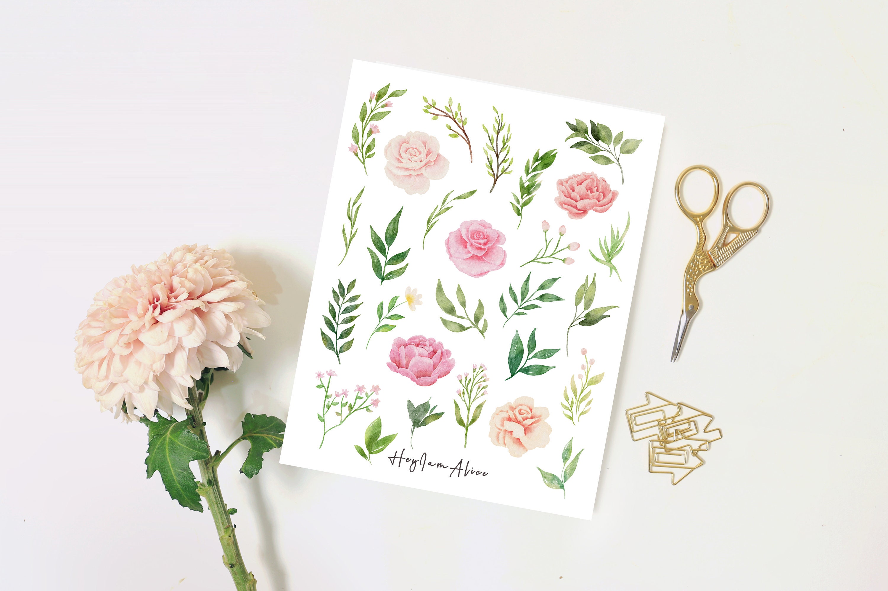 Pink Peony Digital Sticker PRINTABLE Sticker Sheet - Etsy