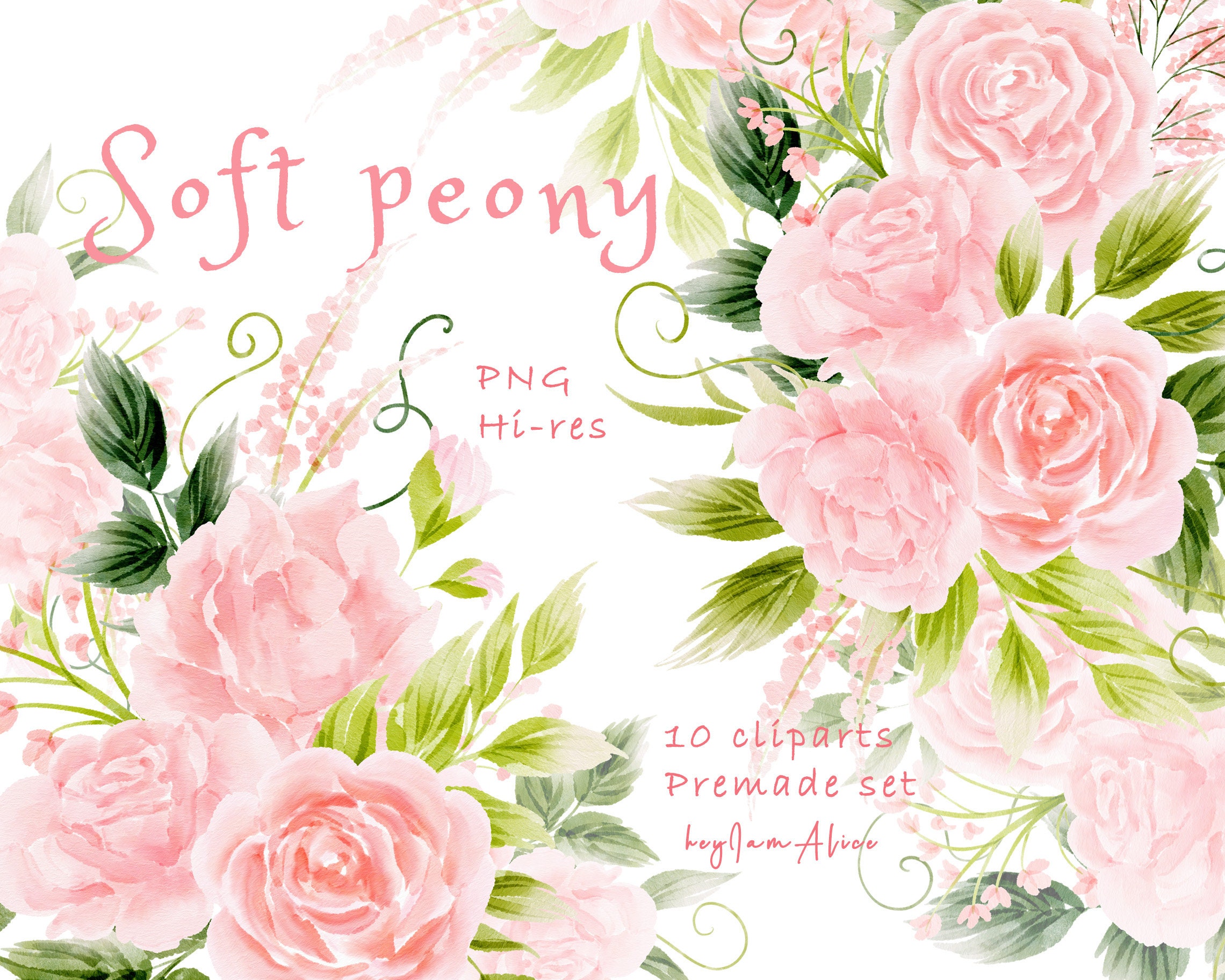 Pink Peony Flower Watercolor Clipart Soft Pink Floral PNG - Etsy