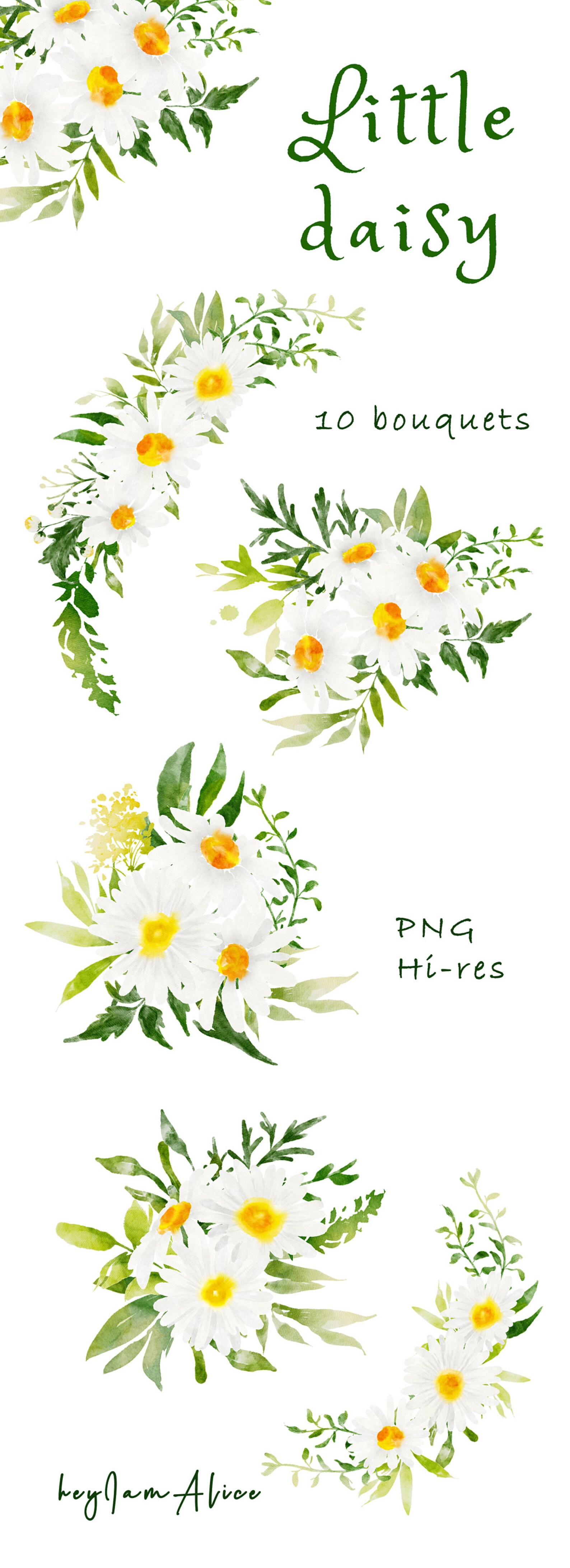 DAISY Floral Watercolor Clipart, Complete Collection, FREE Commercial ...