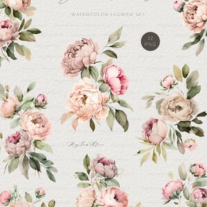 Pink Peony Flower Watercolor Clipart, Soft Pink Delicate PNG, Floral ...