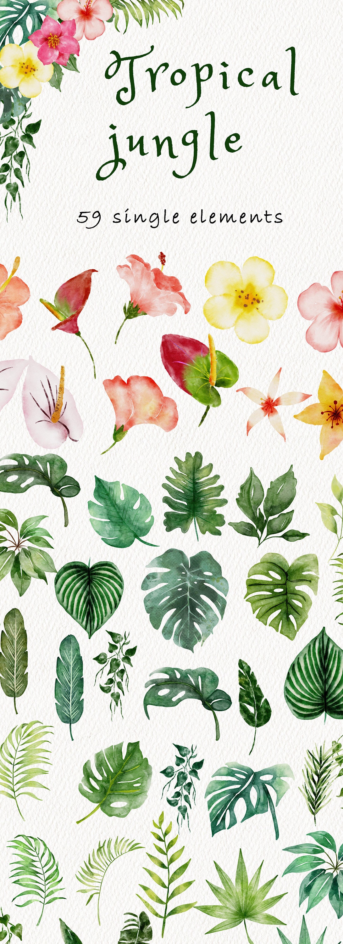 COMPLETE SET Tropical Jungle Flower Watercolor Clipart Free | Etsy