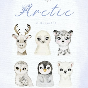 Arctic Animal Watercolor Clipart, Winter Holiday Graphic, Baby Polar ...