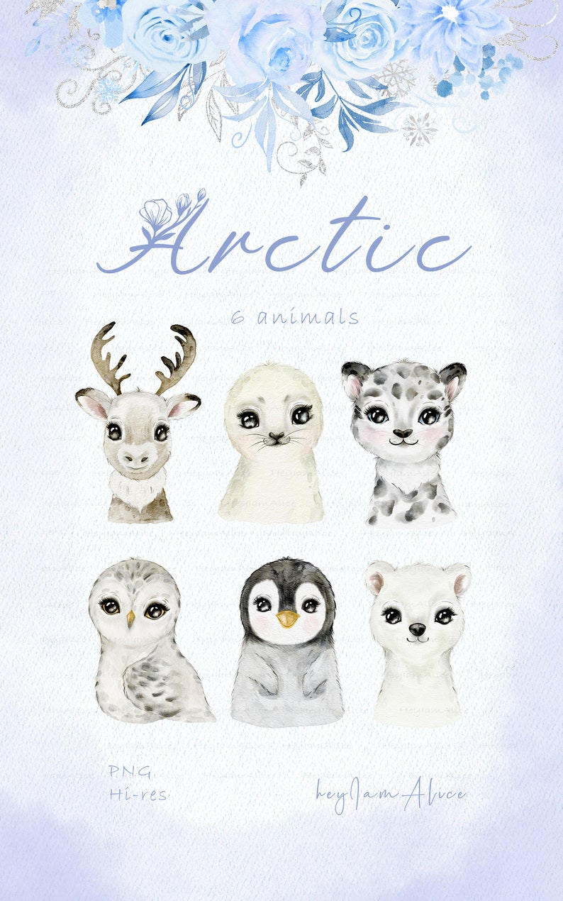 Arctic Animal Watercolor Clipart Winter Holiday Graphic Baby | Etsy