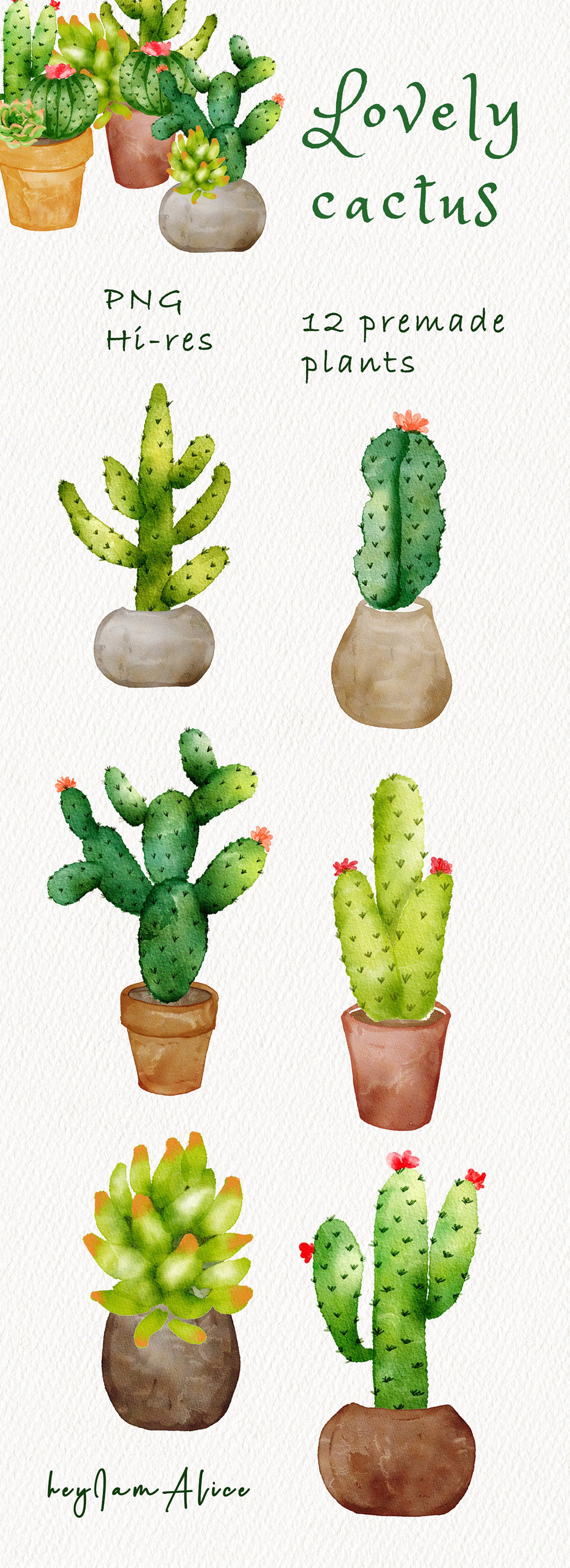 Watercolor Cactus Clipart FREE COMMERCIAL Use Tropical - Etsy