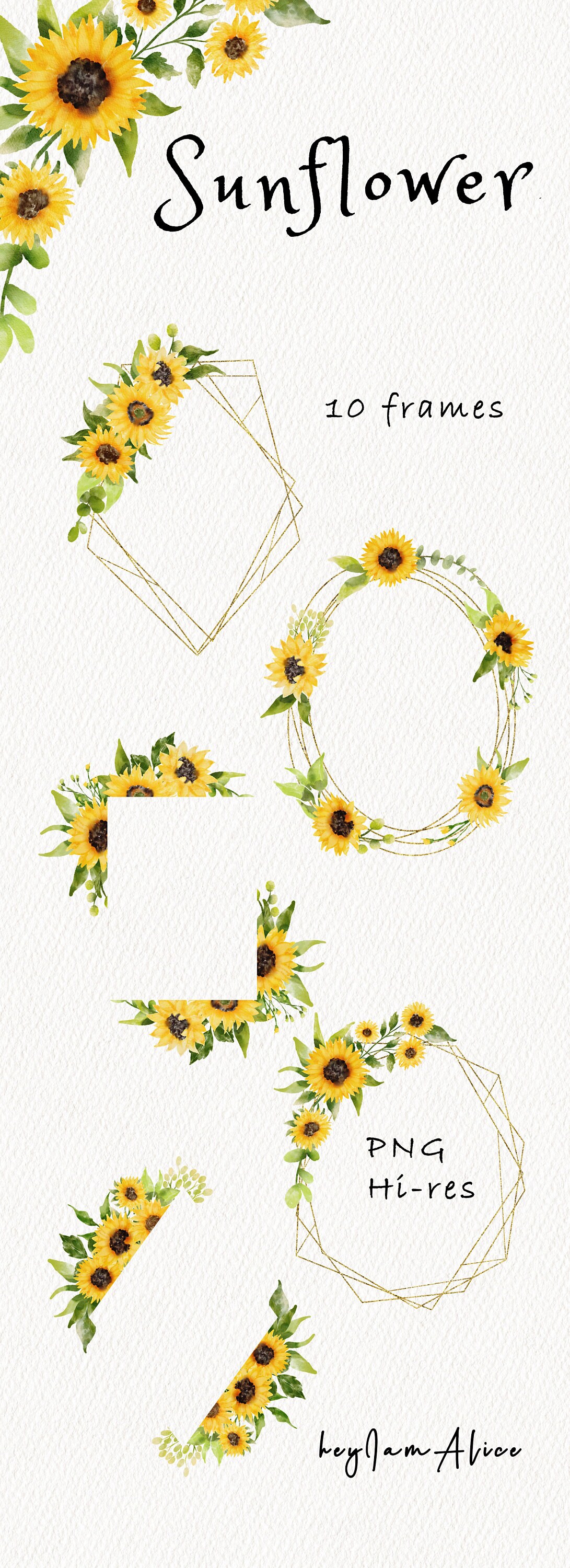 COMPLETE SET Sunflower Watercolor Clipart FREE Commercial - Etsy