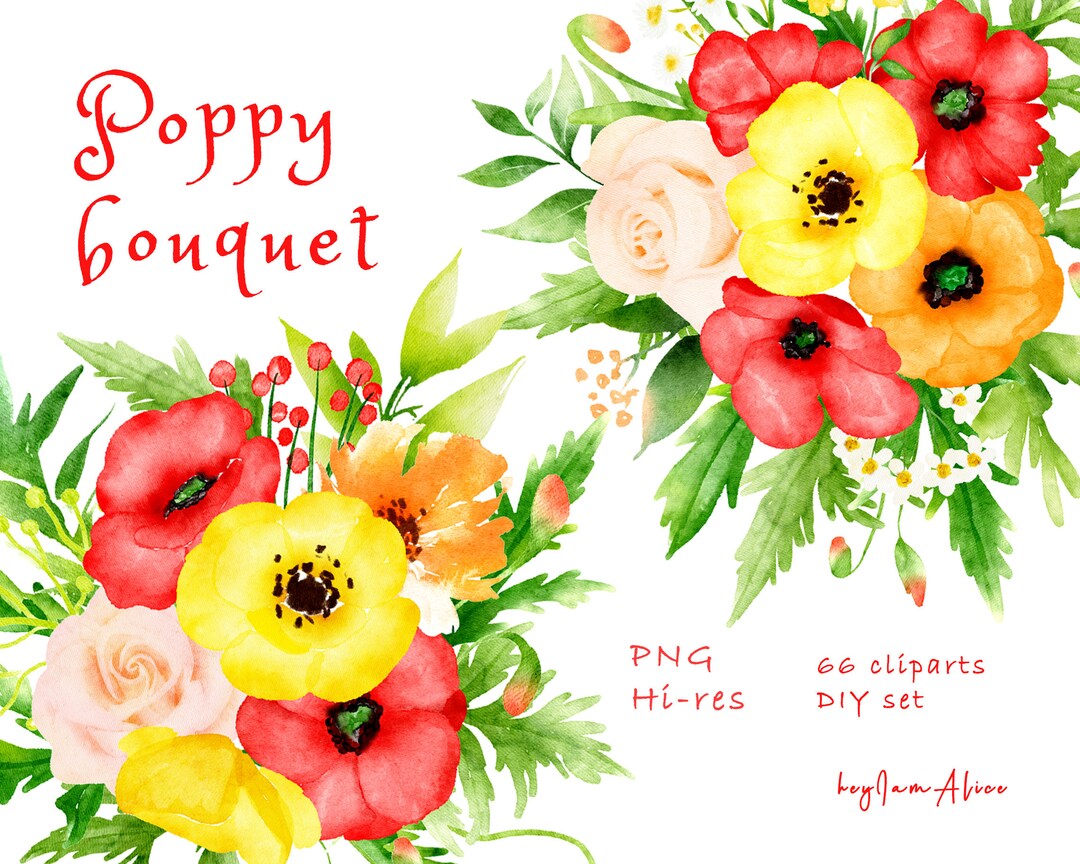 POPPY Floral Watercolor Clipart, FREE Commercial Use, Greenery Clipart ...