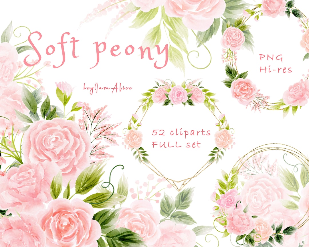 Pink Peony Flower Watercolor Clipart, Soft Pink Floral PNG, Free ...