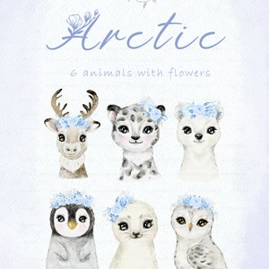 Arctic Animal Watercolor Clipart, Winter Holiday Graphic, Baby Polar ...