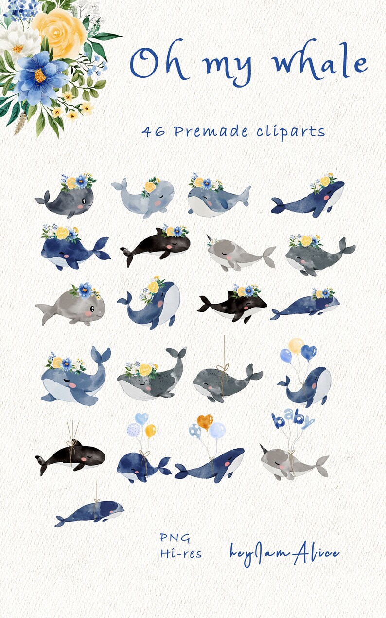 Whale clipart watercolor ocean graphic cute sea animal PNG | Etsy