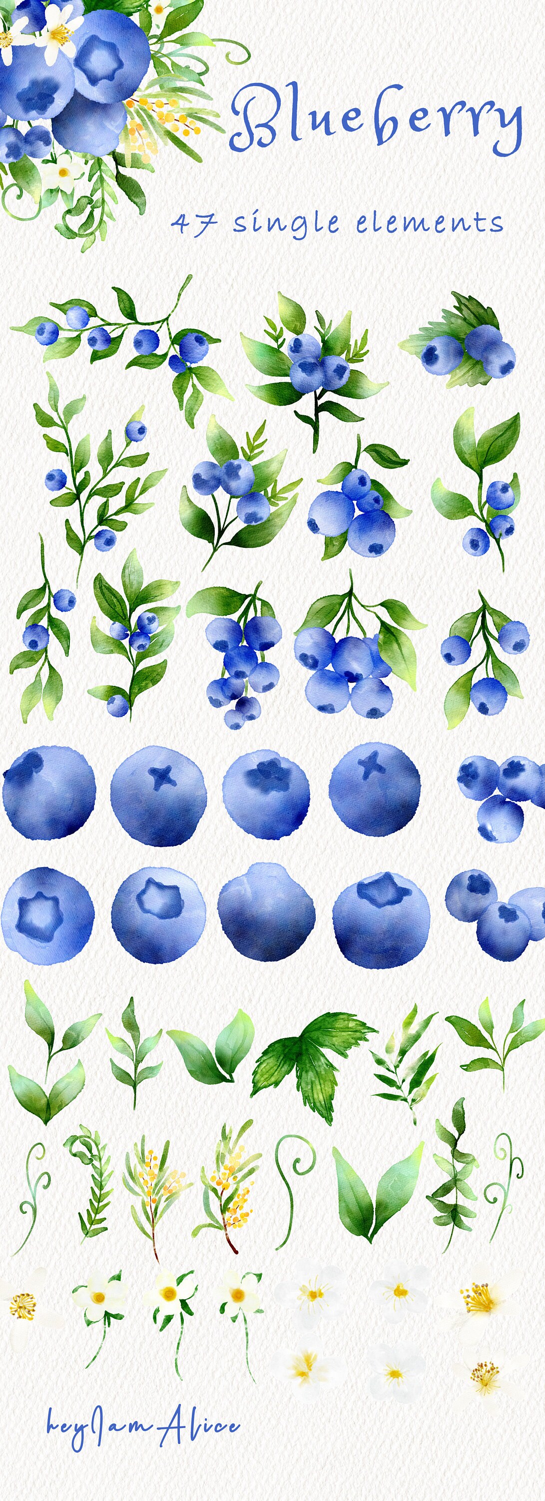 Watercolor Blueberry Clipart Wild Blueberry Clipart Png FREE | Etsy
