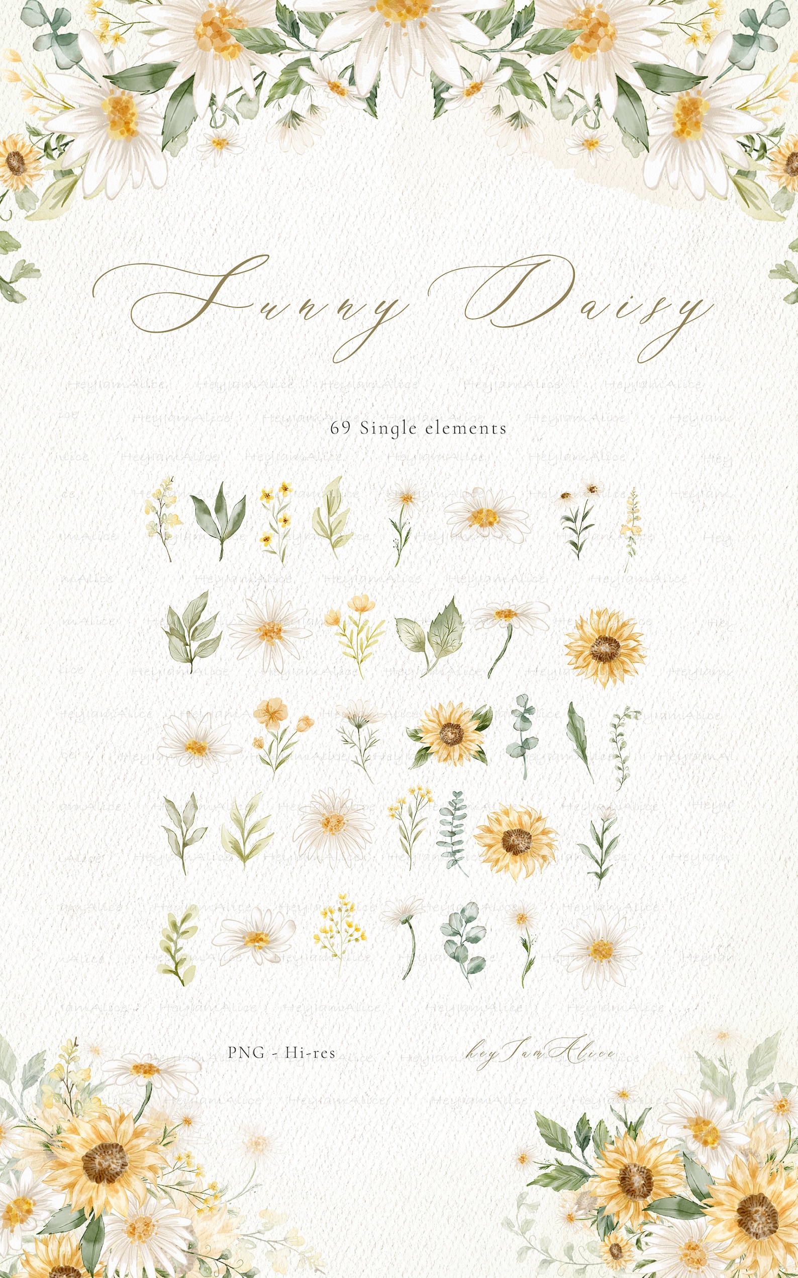 DAISY Sunflower Floral Watercolor Clipart Sunflower Graphic - Etsy