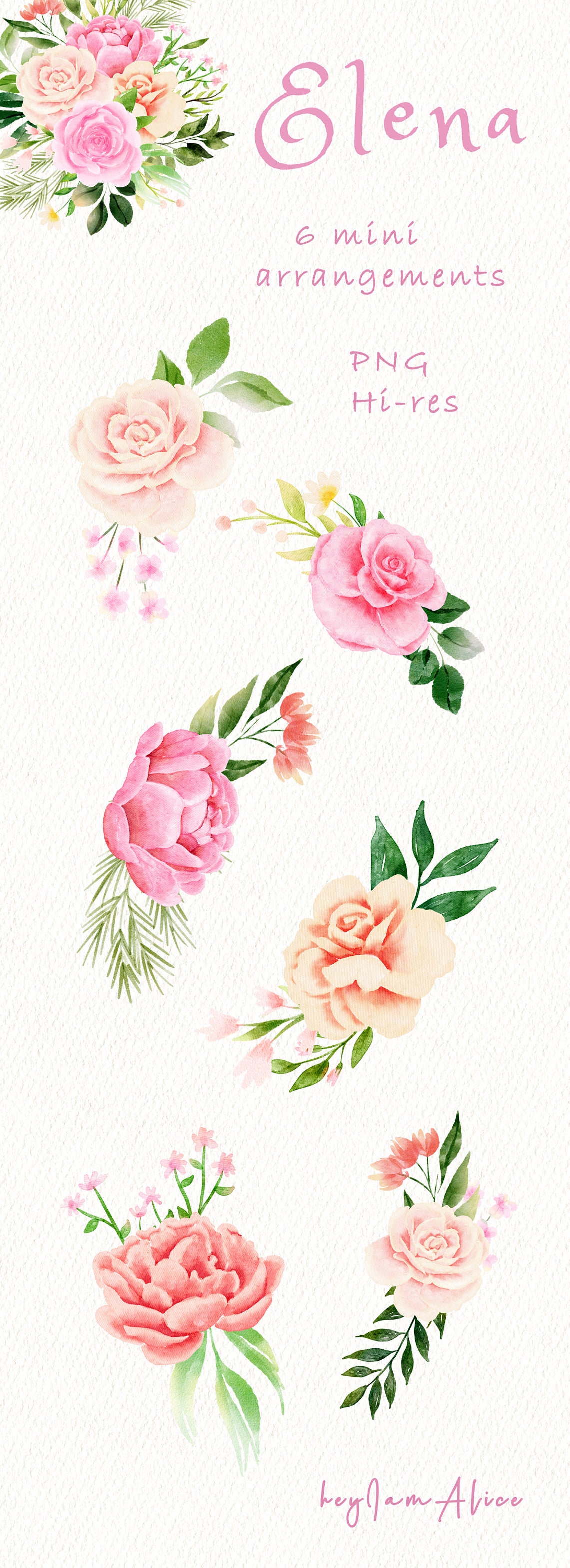 Pink Peony Flower Watercolor Clipart, Soft Pink Floral PNG, Free ...