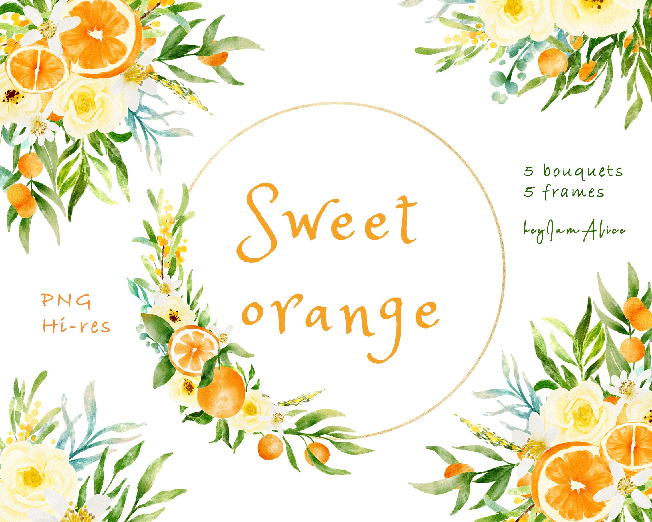 Watercolor Orange Clipart, Fruit Citrus Orange Clipart, FREE COMMERCIAL ...