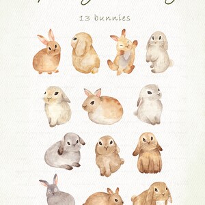 Baby Bunny Clipart, Watercolor Rabbit PNG, Spring Bunny, Bunny Easter ...