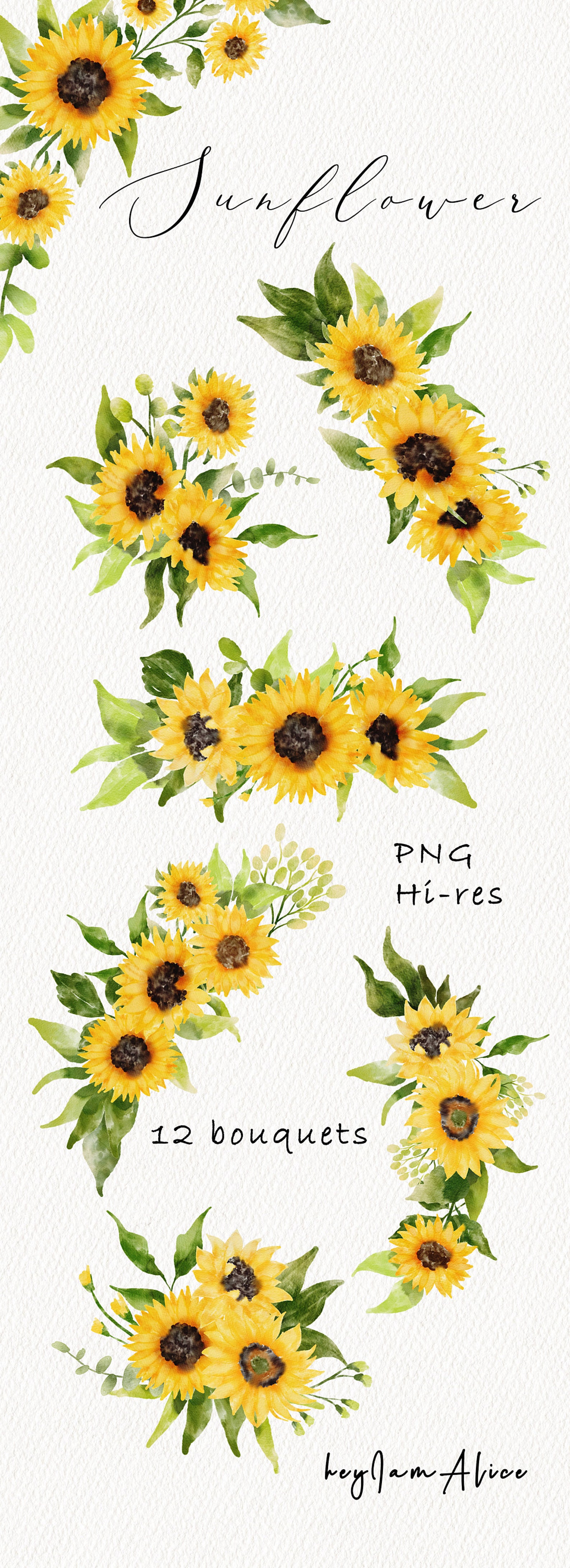 COMPLETE SET Sunflower Watercolor Clipart FREE Commercial - Etsy